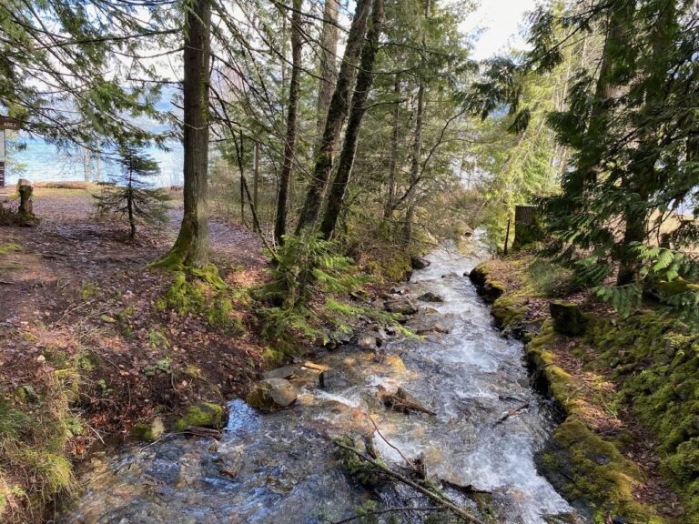 What To Do in Kaslo: A Day Trip Itinerary - The Kootenay Current